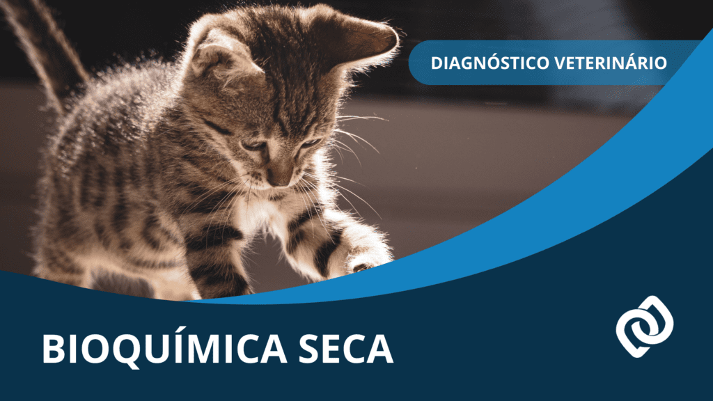 Bioquímica seca - Vantagens do equipamento - Celer Biotecnologia